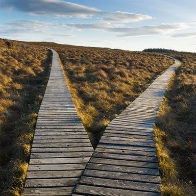 The Two Paths – Cashion First Baptist Church